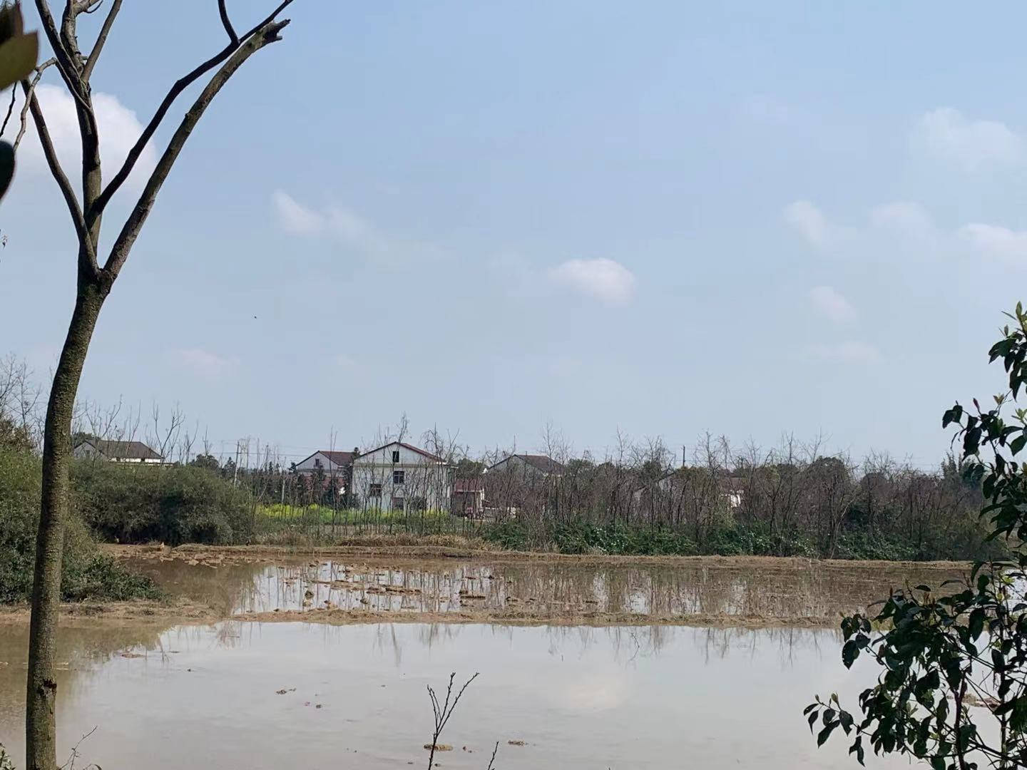 汉寿县株木山街道茶家园社区039 - 汉寿县农村产权交易中心